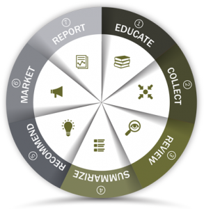 Processes – Tamar Fink